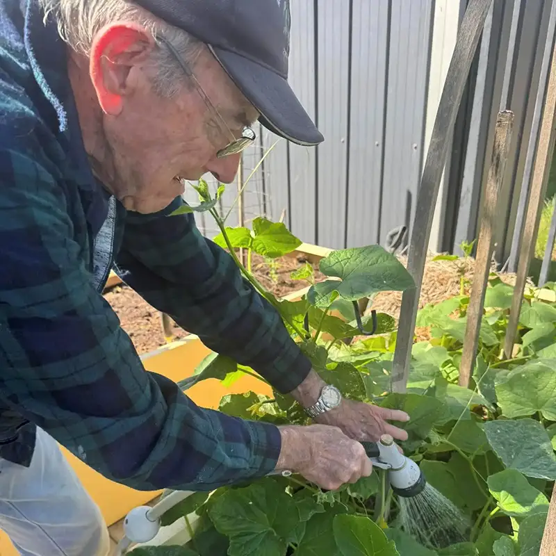 Principle 5: Recreational and leisure activities that support healthy ...